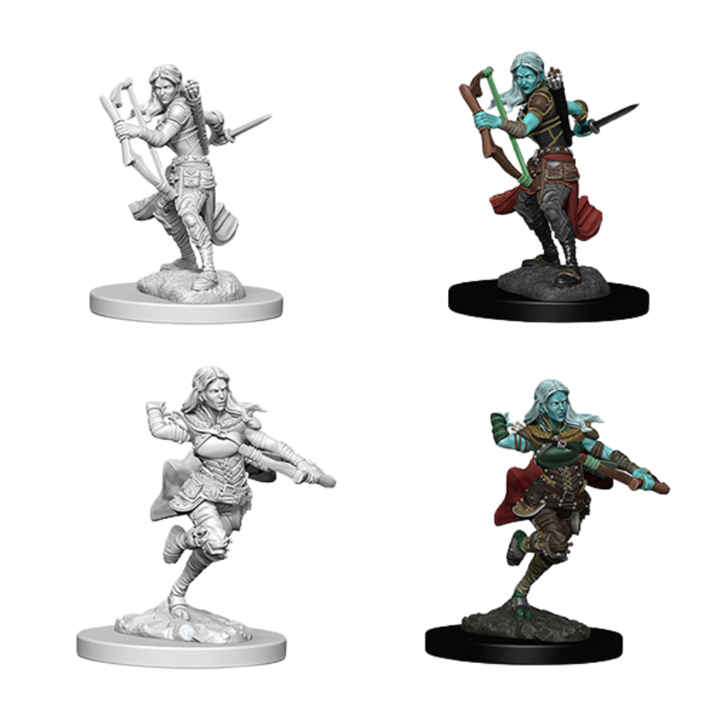 DND Nolzur's Marvelous Unpainted Miniatures W04 Air Genasi Rogue Femal ...